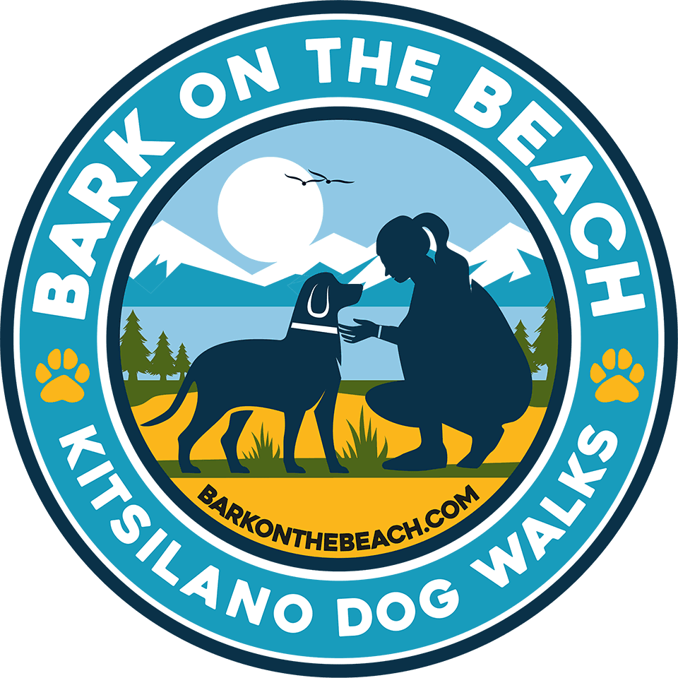Bark on the Beach - Kitsilano Dog Walking & Sitting